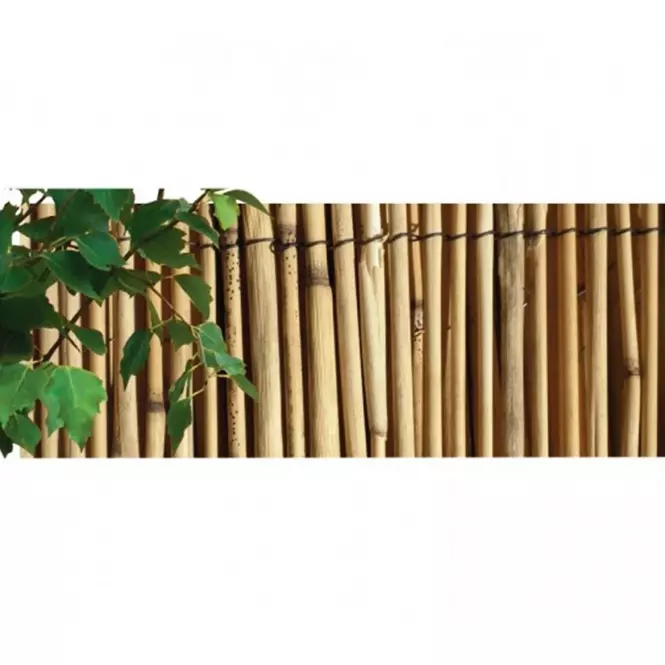 Rákosové rohože- Baumax.cz