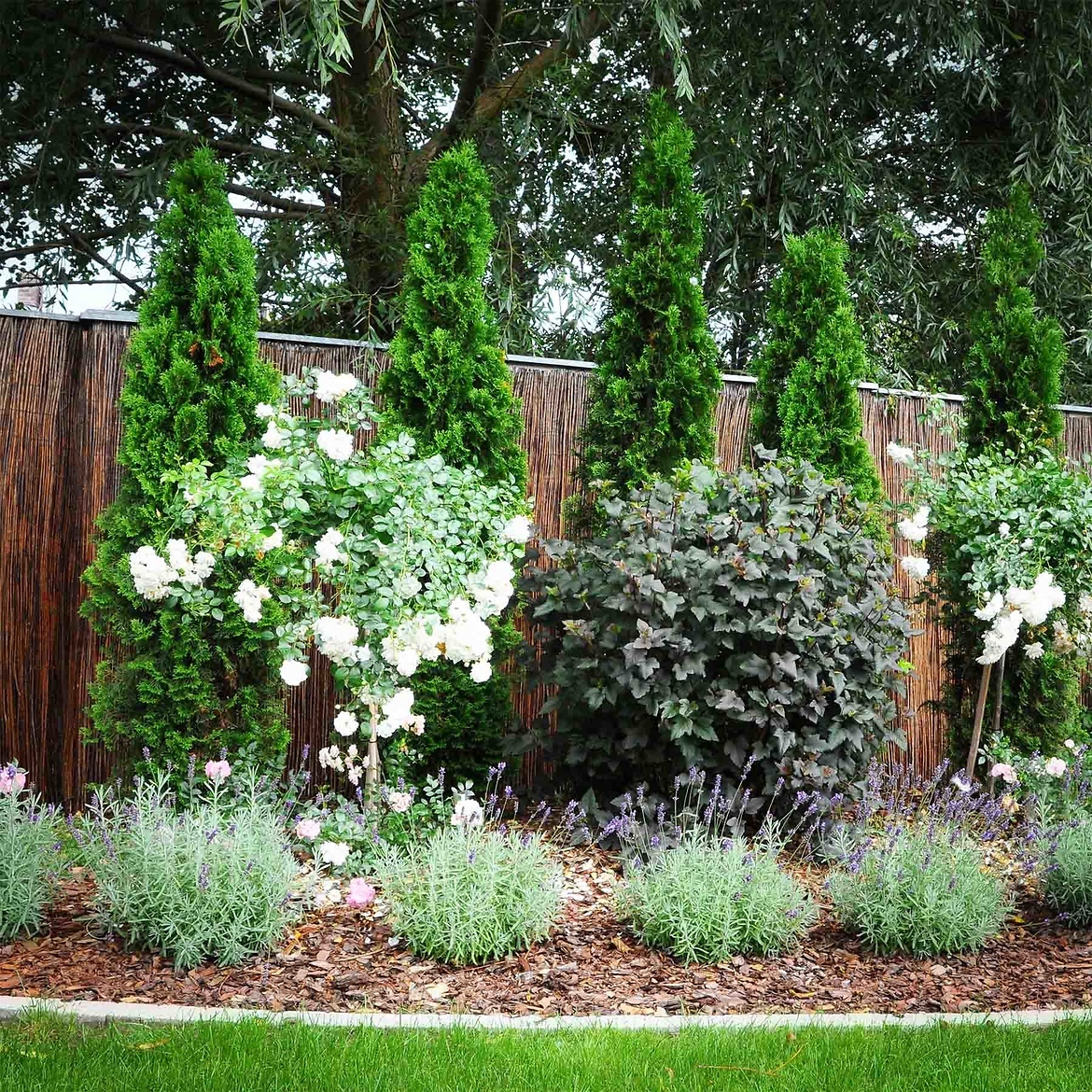 Rákosové rohože - za super ceny - e-shop BauMax